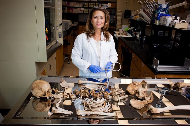 Día del Antropólogo: ¿Cómo nació? - Calendario Argentina